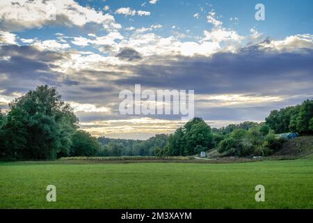Wald, Wiesen, nahe Burgstetten, Rems-Murr-Kreis, Baden-Württemberg ...