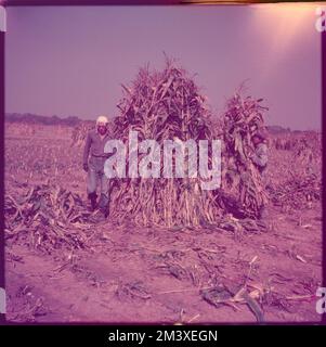 Harvest Color Amish, Toni Frissell, Antoinette Frissell Bacon ...