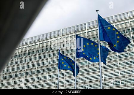 Several official European Flags with the blue and the yellow stars are ...