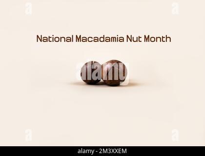 Two Macadamia Nuts on beige background with soft shadow. The concept of ...