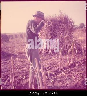 Harvest Color - Amish, Toni Frissell, Antoinette Frissell Bacon ...