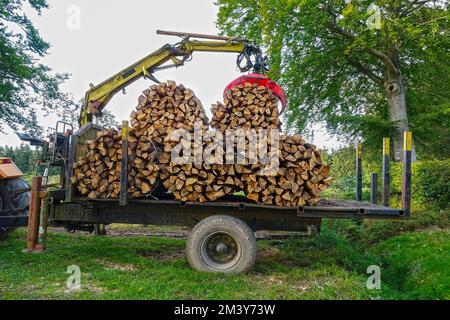Bundles of firewood ona tractor trailer Stock Photo - Alamy