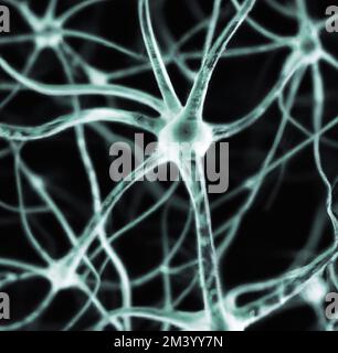 Active human nerve cells illustration Stock Photo - Alamy