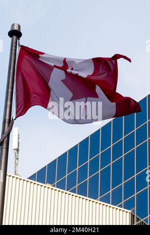 Bottom view of the Canadian flag on a flagpole Stock Photo - Alamy