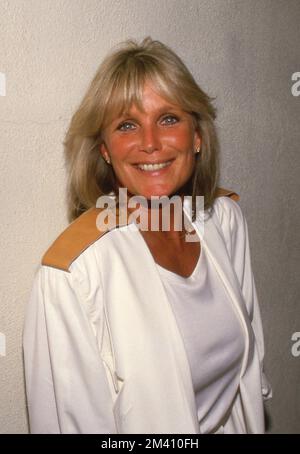 Linda Evans 1985 Credit: Ralph Dominguez/MediaPunch Stock Photo - Alamy