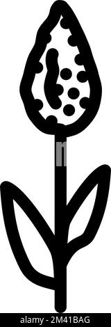 sorghum plant food line icon vector illustration Stock Vector Image ...