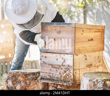 Beekeeper, bees and honey production process for natural organic wax ...