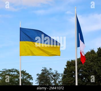 flags of Ukraine and France together during international meeting Stock ...