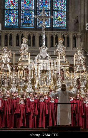 Regensburg, Germany. 18th Dec, 2022. The girls' choir of the ...