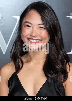Allison Hsu, at UNFORGETTABLE: The 20th Annual Asian American Awards ...