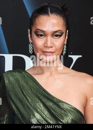 Sydney Viengluang at the 20th Annual Asian American Awards ...