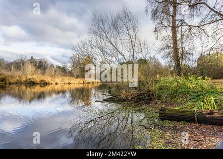 Water inlet at the Washington Park Arboretum in Seattle, Washington ...