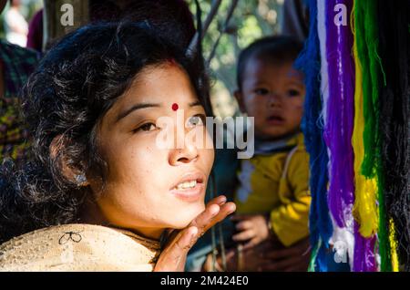 Young lady of the Mishing tribe weaving at a handloom in front of her ...
