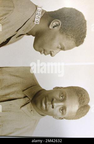 Photograph of J. D. New. Bureau of Prisons, Inmate case files Stock ...