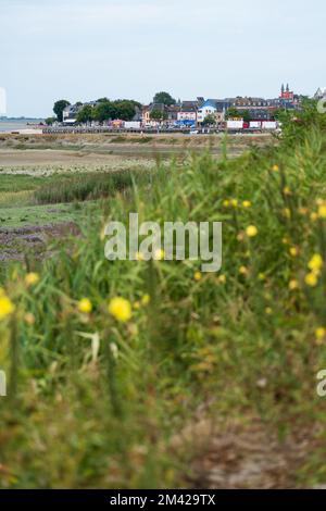 View across the estuary at Le Crotoy Stock Photo - Alamy