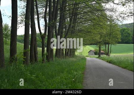 A narrow country lane overlooking an old wooden barn in a green ...