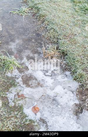 Slippery ice on rural farm track. A few short blades of frost damaged ...