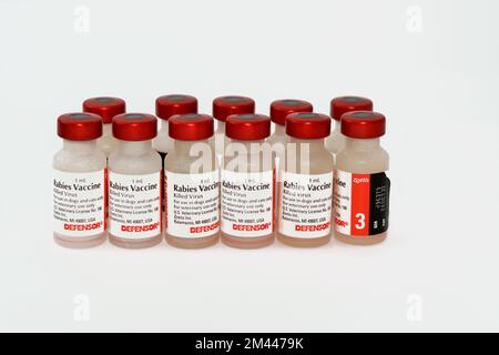 Cairo, Egypt, December 8 2022: Rabis vaccine killed virus for use of ...