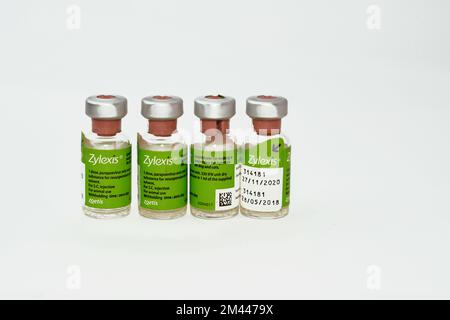 Cairo, Egypt, December 17 2022: Zylexis vaccine for prevention and ...