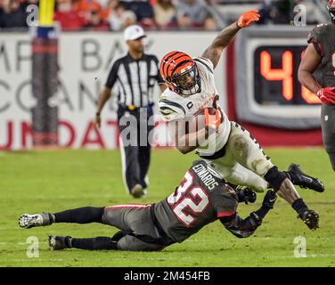 Tampa Bay Buccaneers safety Mike Edwards (32) awaits the snap during a ...