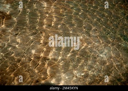 The texture of the water salt marshes. Photographed in nature Stock ...