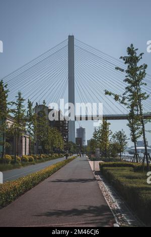 A vertical of the tourist attraction NanPu bridge in Shanghai, China ...