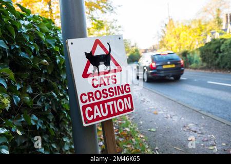 Caution cats Crossing Uk Road Traffic Sign Signs Roadsigns Stock Photo ...