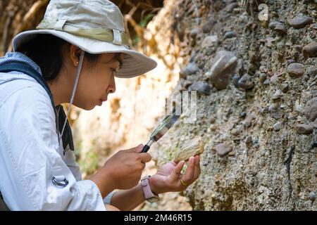 Female geologist using a magnifying glass examines nature, analyzing ...