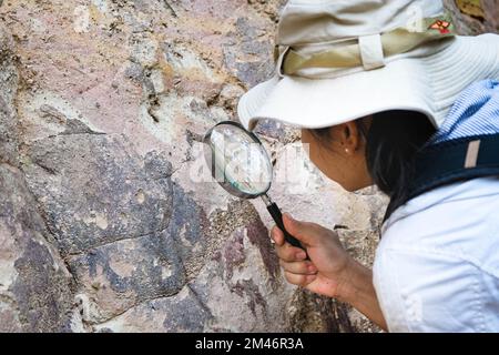 Female geologist using a magnifying glass examines nature, analyzing ...