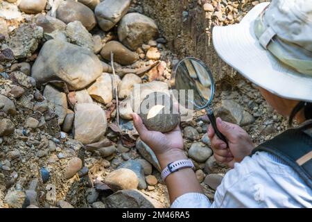 Female geologist using a magnifying glass examines nature, analyzing ...