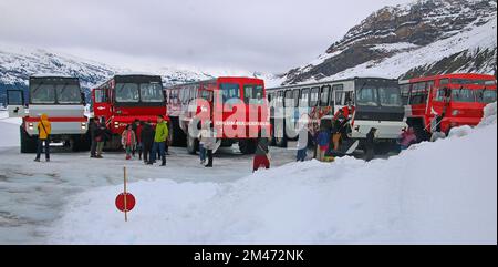 Ice explorer vehicle on Athabasca glacier from icefield parkway, Jasper ...