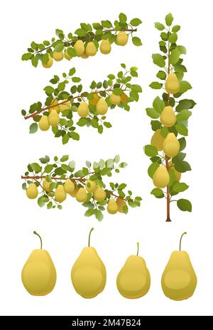 Set of graphic vector plant branches with leaves and flowers Stock ...