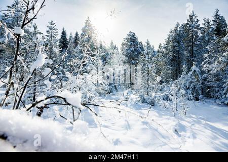 frozen winter landscape in Eriz Stock Photo - Alamy