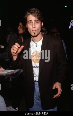 Jason Priestley February 1990 Credit: Ralph Dominguez/MediaPunch Stock Photo - Alamy