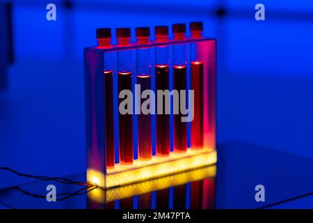 samples of radioactive liquid in test tubes in a nuclear physics ...