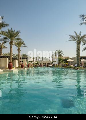 Wall of a building at pool and a palm tree Stock Photo - Alamy