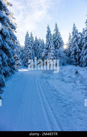 Beautiful winter landscape on the heights of the Thuringian Forest near ...