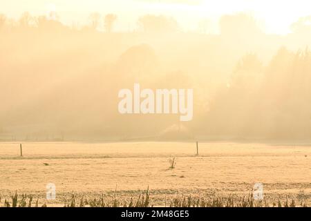 Sun rays in fog, Thomastown, Co. Kilkenny, Ireland Stock Photo - Alamy