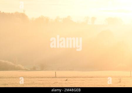 Sun rays in fog, Thomastown, Co. Kilkenny, Ireland Stock Photo - Alamy