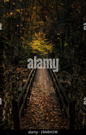 Swinging Bridge and Fall Foliage Stock Photo - Alamy