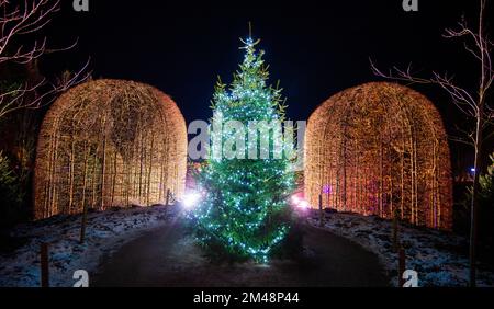 Christmas lights at The Alnwick Garden Winter Light Trail, Alnwick ...
