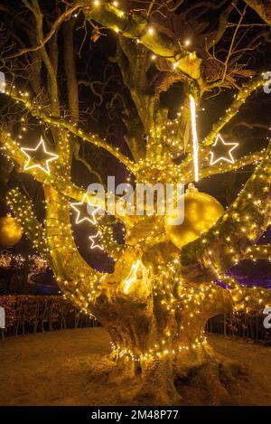 Christmas lights at The Alnwick Garden Winter Light Trail, Alnwick ...