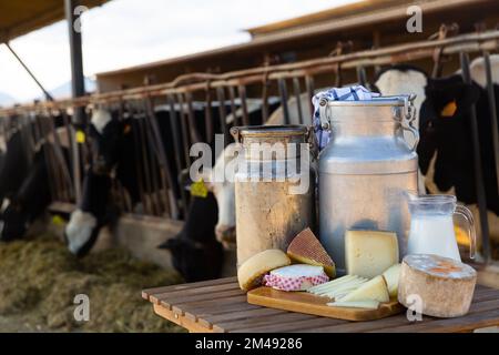 dairy products on table against the background of herd of cows in barn ...