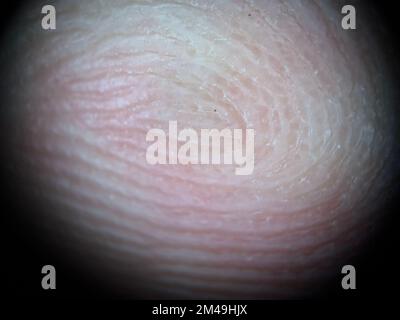 Detail of a fingerprint of a human finger view from the back of the ...