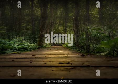 Beautiful view of a path leading to the gazebo Stock Photo - Alamy
