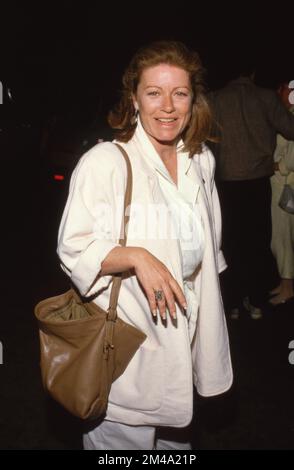 Patty Duke Circa 1980's Credit: Ralph Dominguez/MediaPunch Stock Photo ...