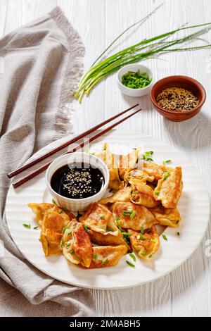 fried gyoza, wonton wrappers stuffed with pork and cabbage sprinkled ...