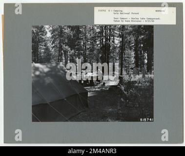 Camping and Picnicking - Montana. Photographs Relating to National ...