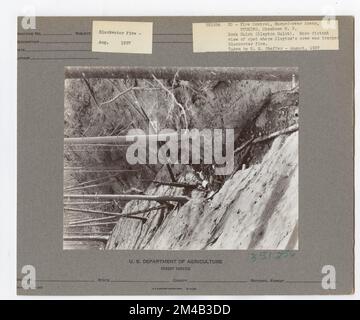 Burned -Over Areas - Wyoming. Photographs Relating to National Forests ...