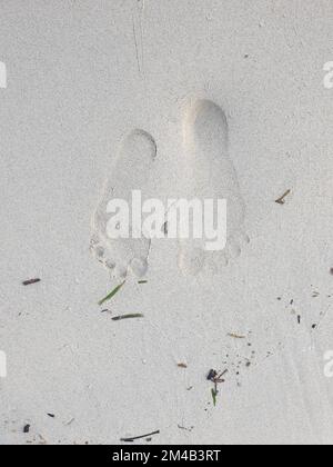A beautiful shot of white sandy beach with seascape under blue sky ...
